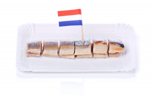 Dutch herring (‘haring’), isolated on white | Sara Winter Photography